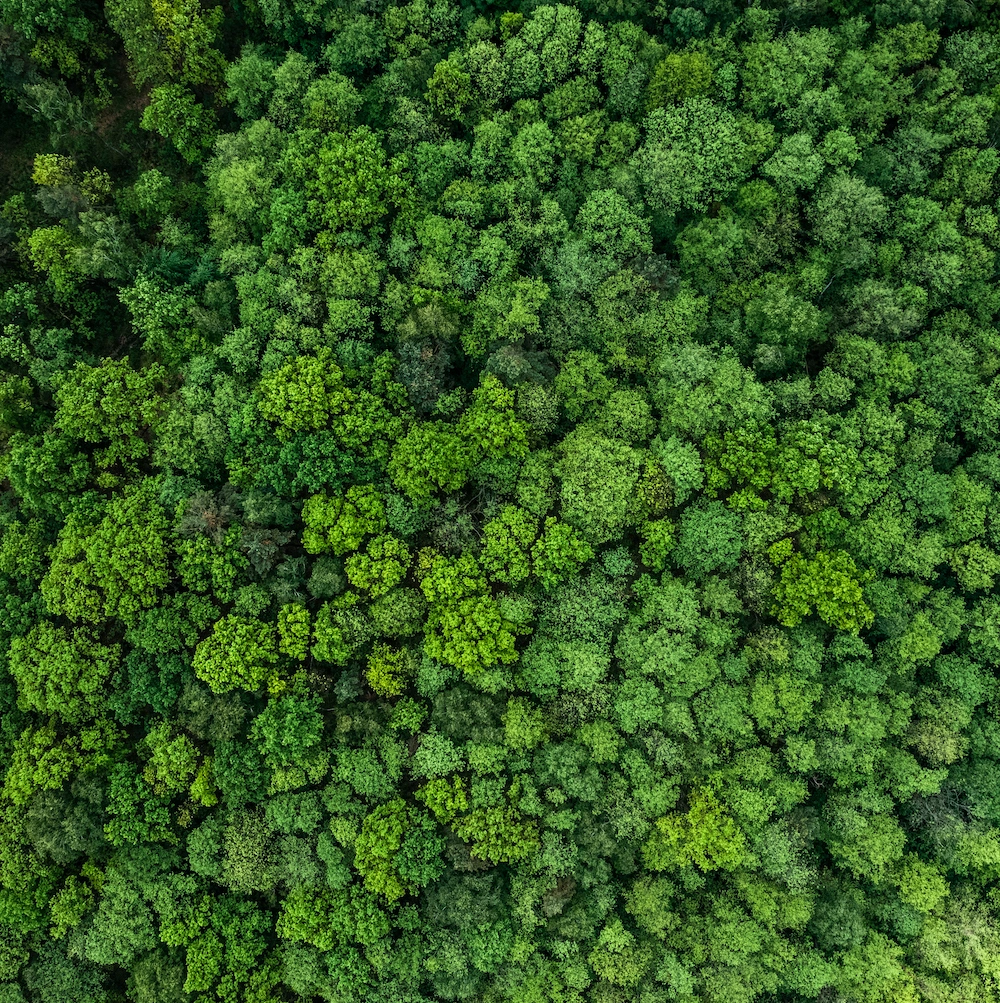 Kinder To The Environment - Cold Clean UK